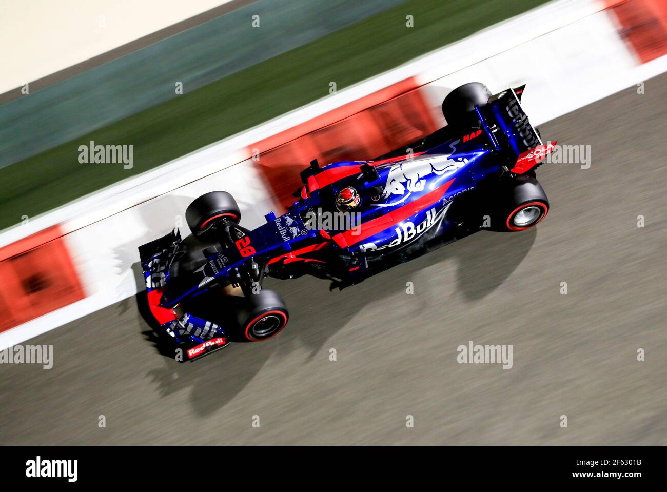 HARTLEY Brendon (nzl) Toro Rosso Ferrari STR12 team Toro Rosso, action ...