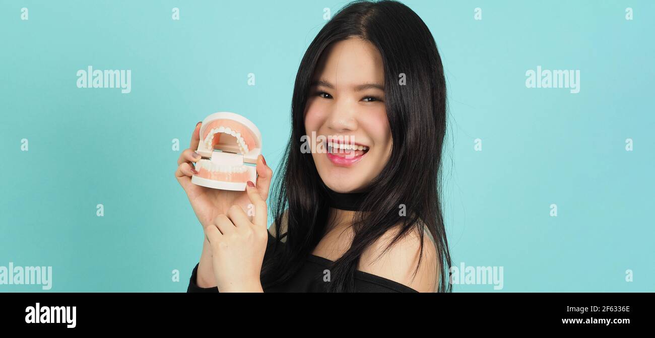 Woman holding dental teeth model or orthodontic model. Asian teenage ...