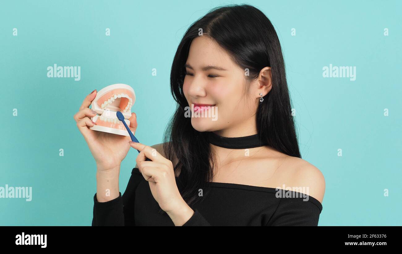 Woman holding dental teeth model or orthodontic model. Asian teenage ...