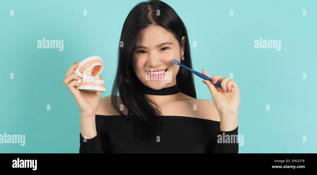 Woman holding dental teeth model or orthodontic model. Asian teenage ...