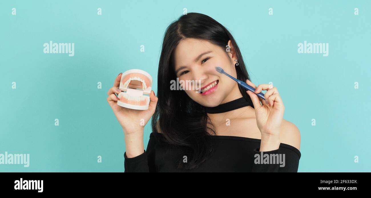 Woman holding dental teeth model or orthodontic model. Asian teenage ...