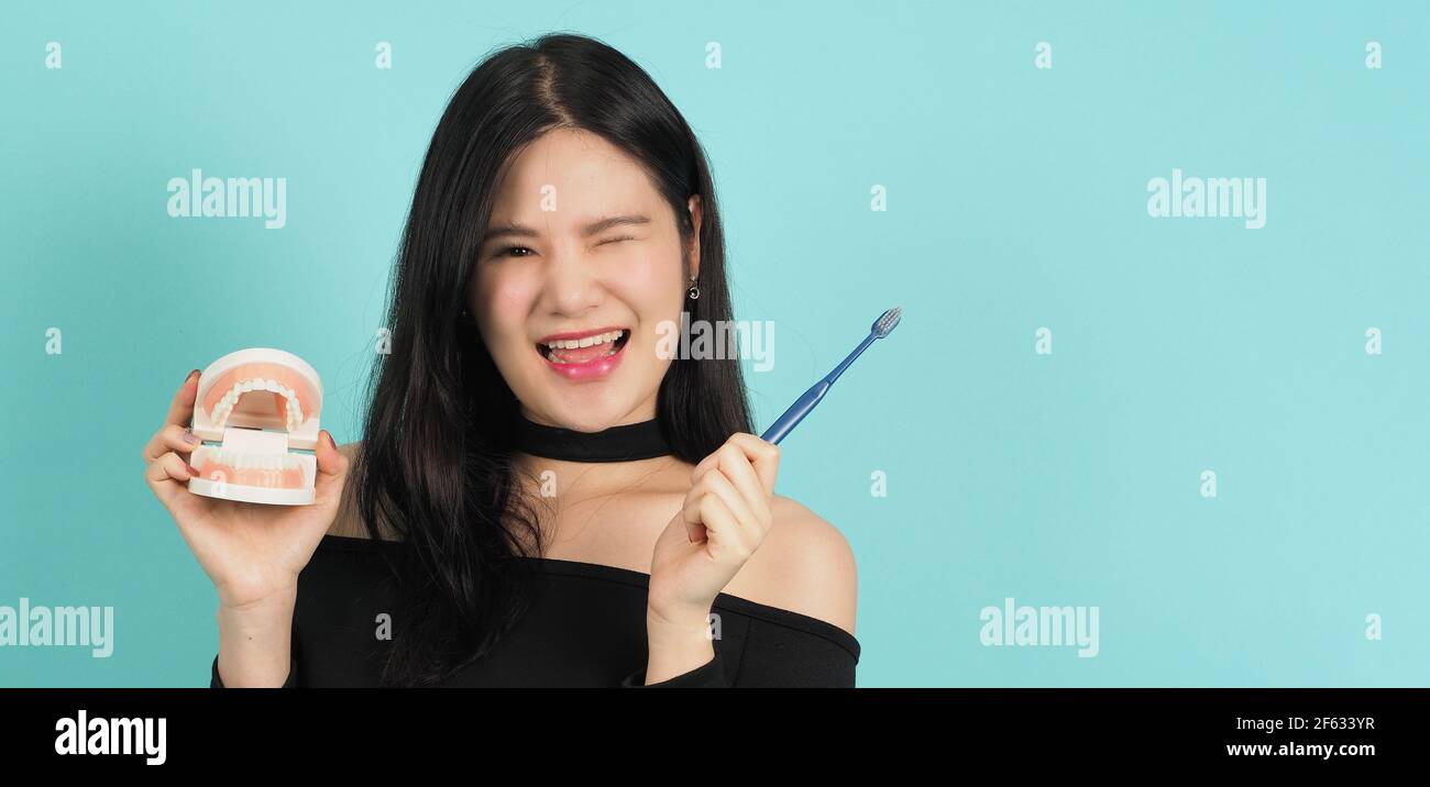 Woman holding dental teeth model or orthodontic model. Asian teenage ...