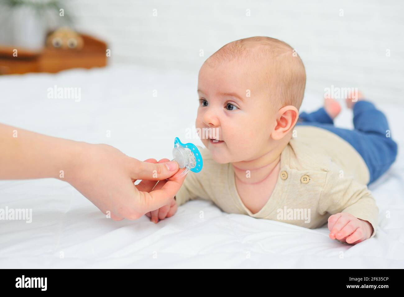 hand gives a pacifier to her baby son on a white background Stock Photo ...