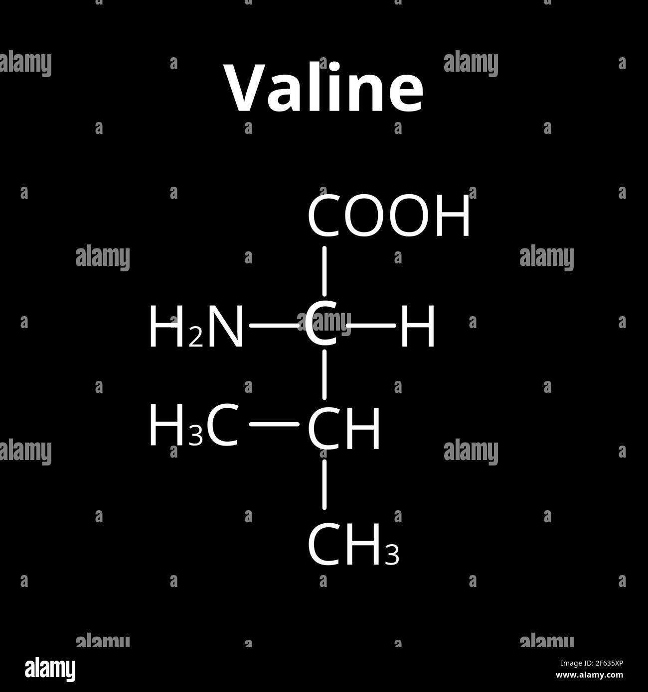 Valine Amino Acid Chemical Molecular Formula Of Valine Amino Acid Vector Illustration On