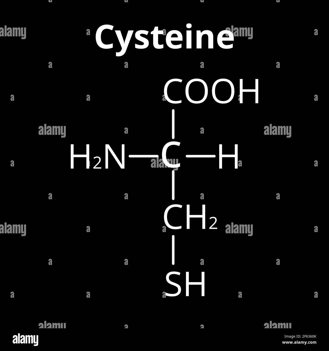 The amino acid Cysteine. Chemical molecular formula Cysteine amino acid ...