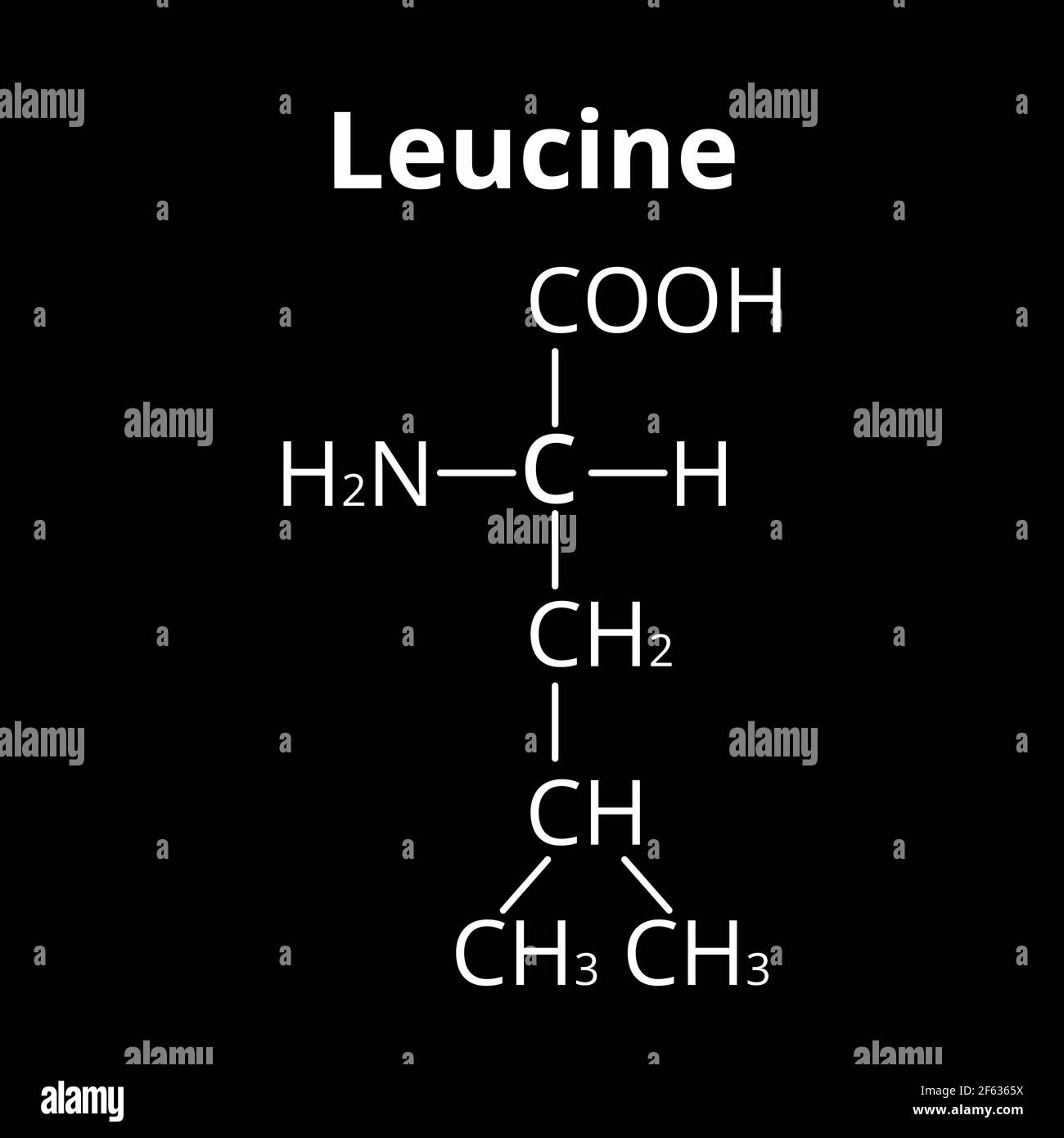 Amino acid Leucine. Chemical molecular formula of amino acid leucine ...