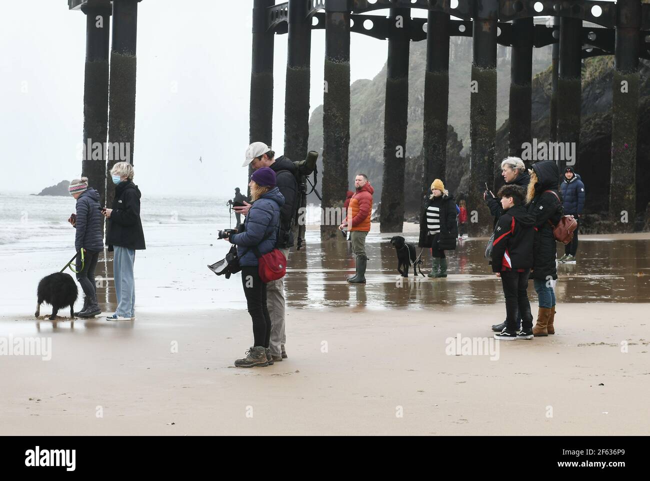 Wally beach hi-res stock photography and images - Alamy