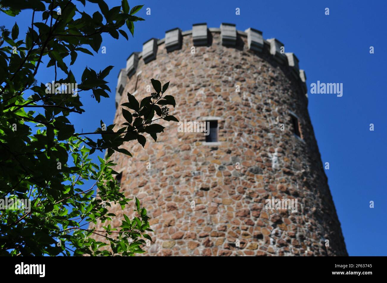 Old tower and green leaves Stock Photo - Alamy