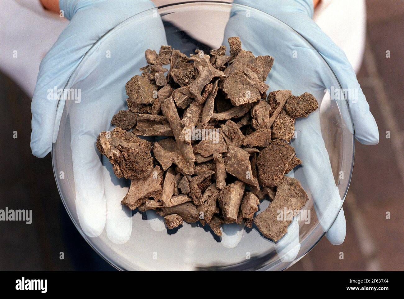 THE MUSEUM OF LONDON HAS PUT ON SHOW REMAINS AND RELICS OF WHAT IS ...