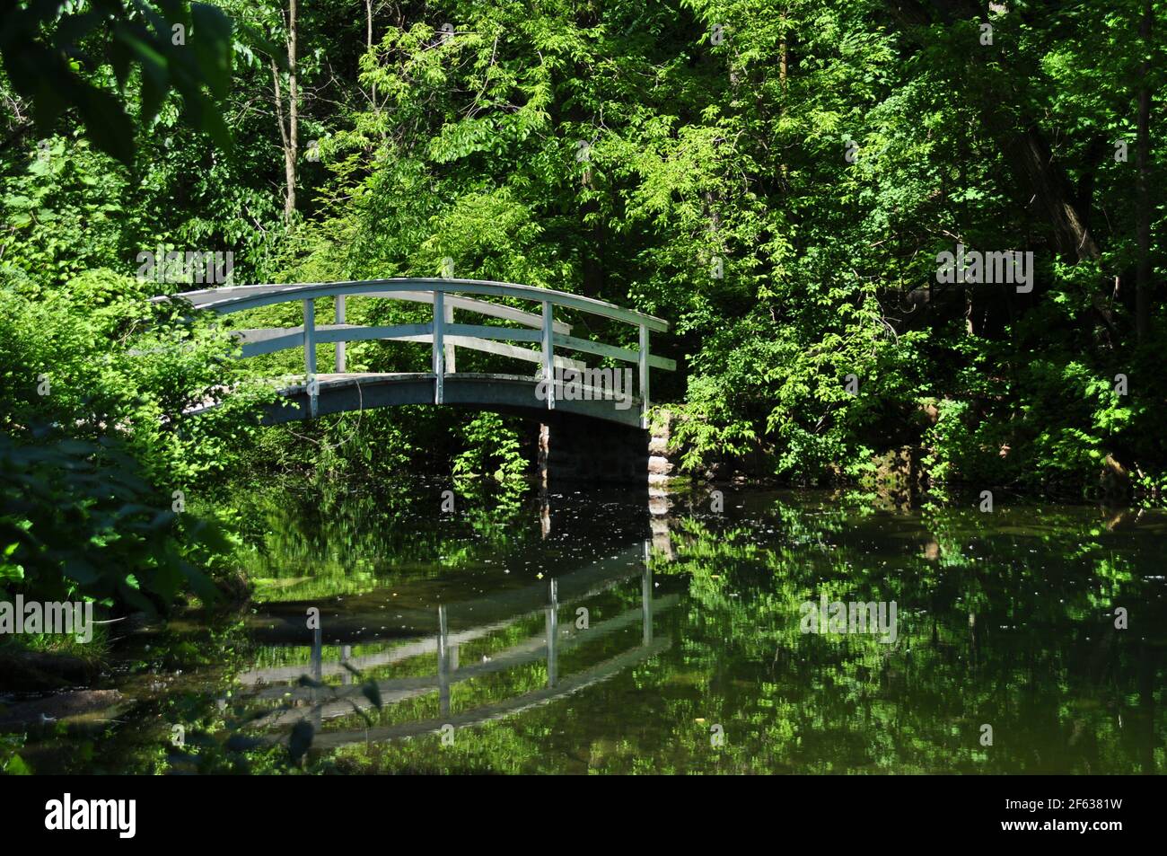 Old little bridge over pond in Summer Stock Photo - Alamy