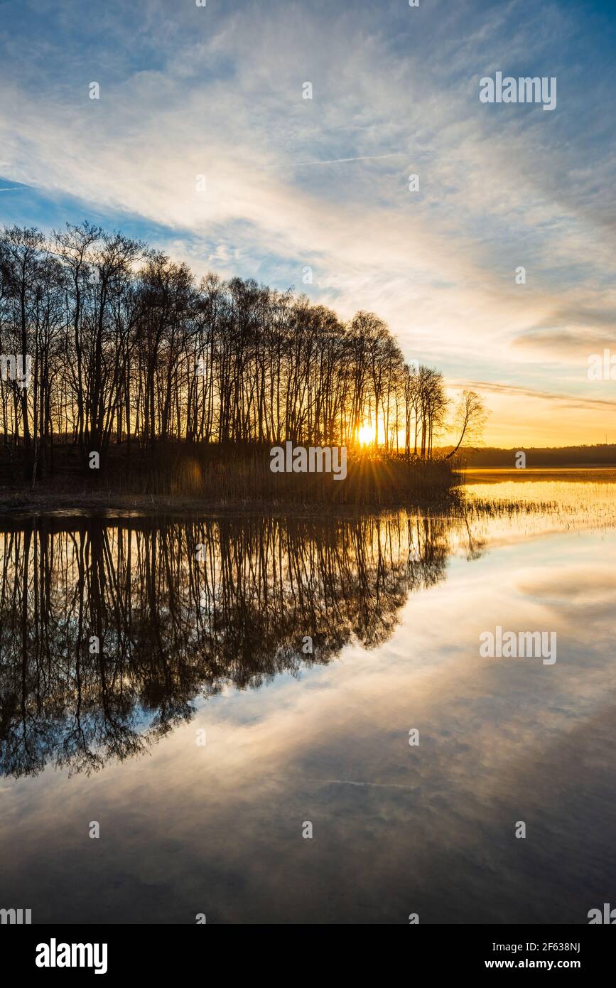 Sun shining through trees at still lake Stock Photo - Alamy