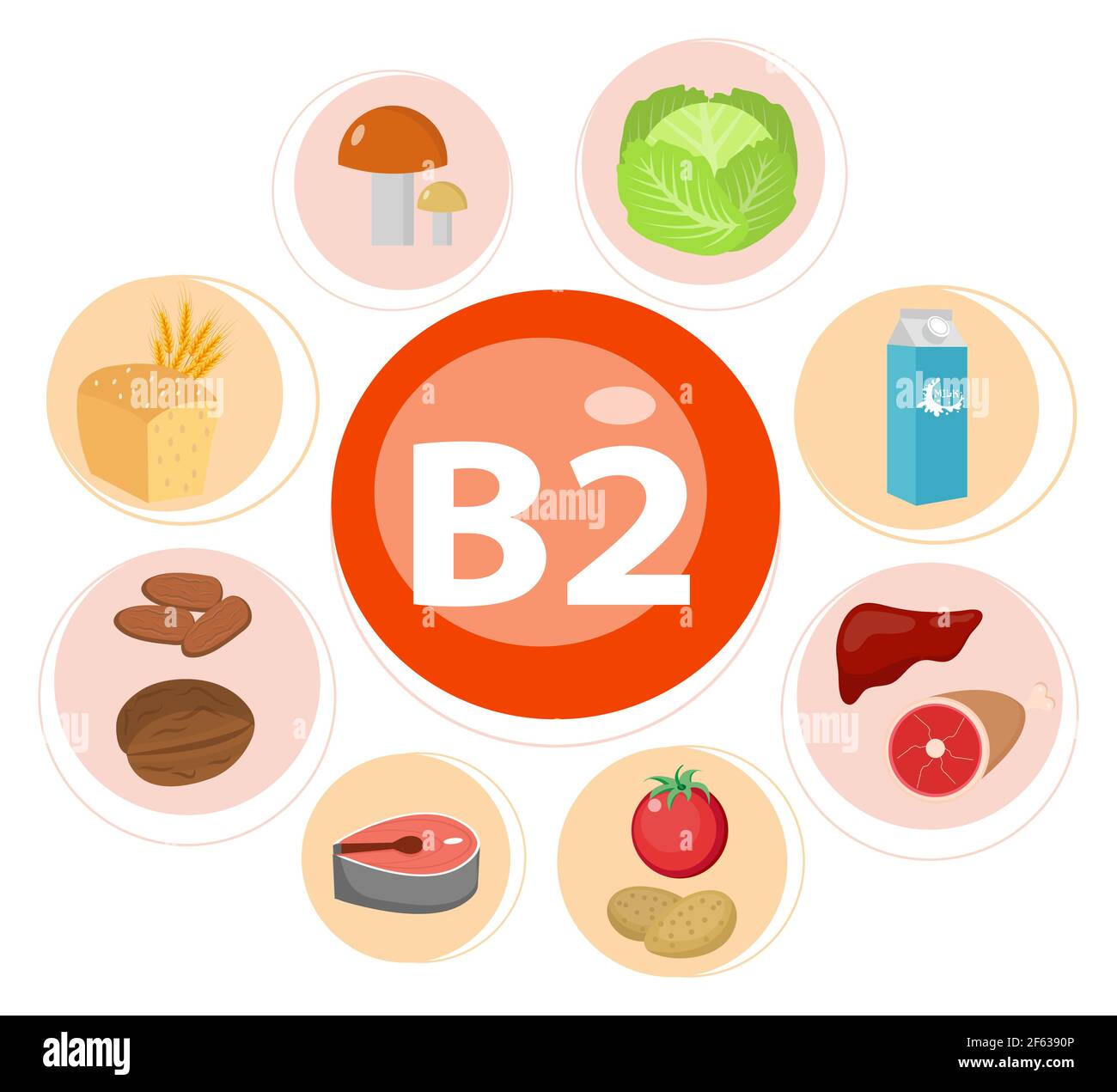 Vitamins And Minerals Foods Illustrator Set 7 Vector Set Of Vitamin