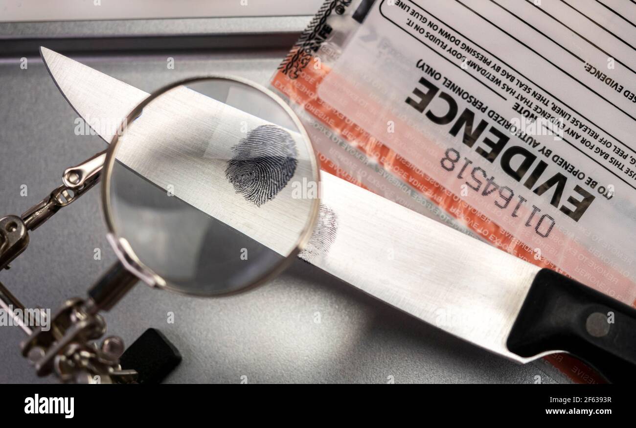 Police investigation of fingerprint on a knife, concept image Stock ...