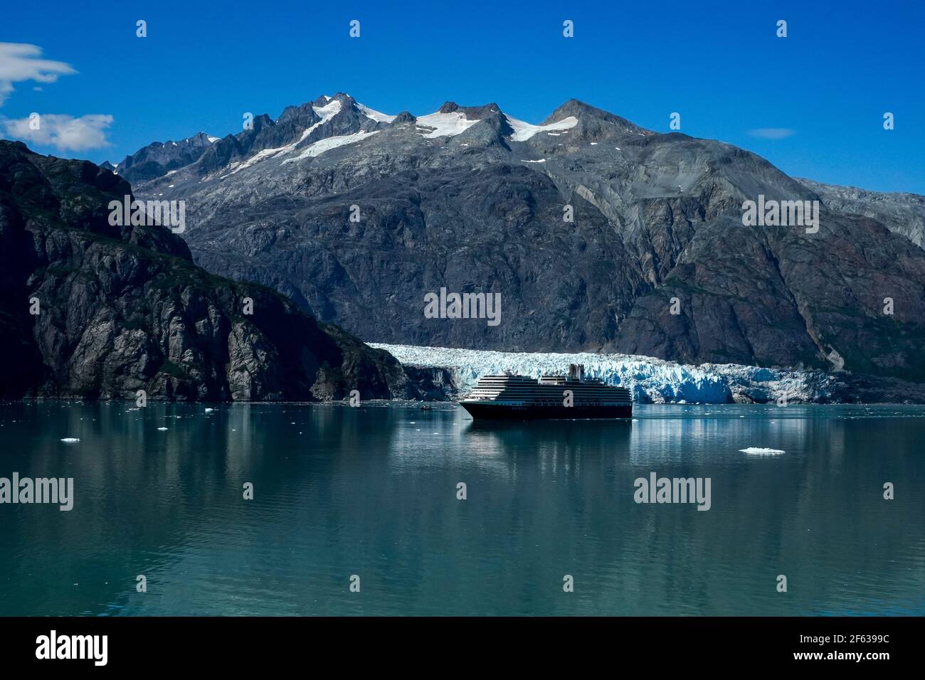 Inside passage ferry whale hi-res stock photography and images - Alamy