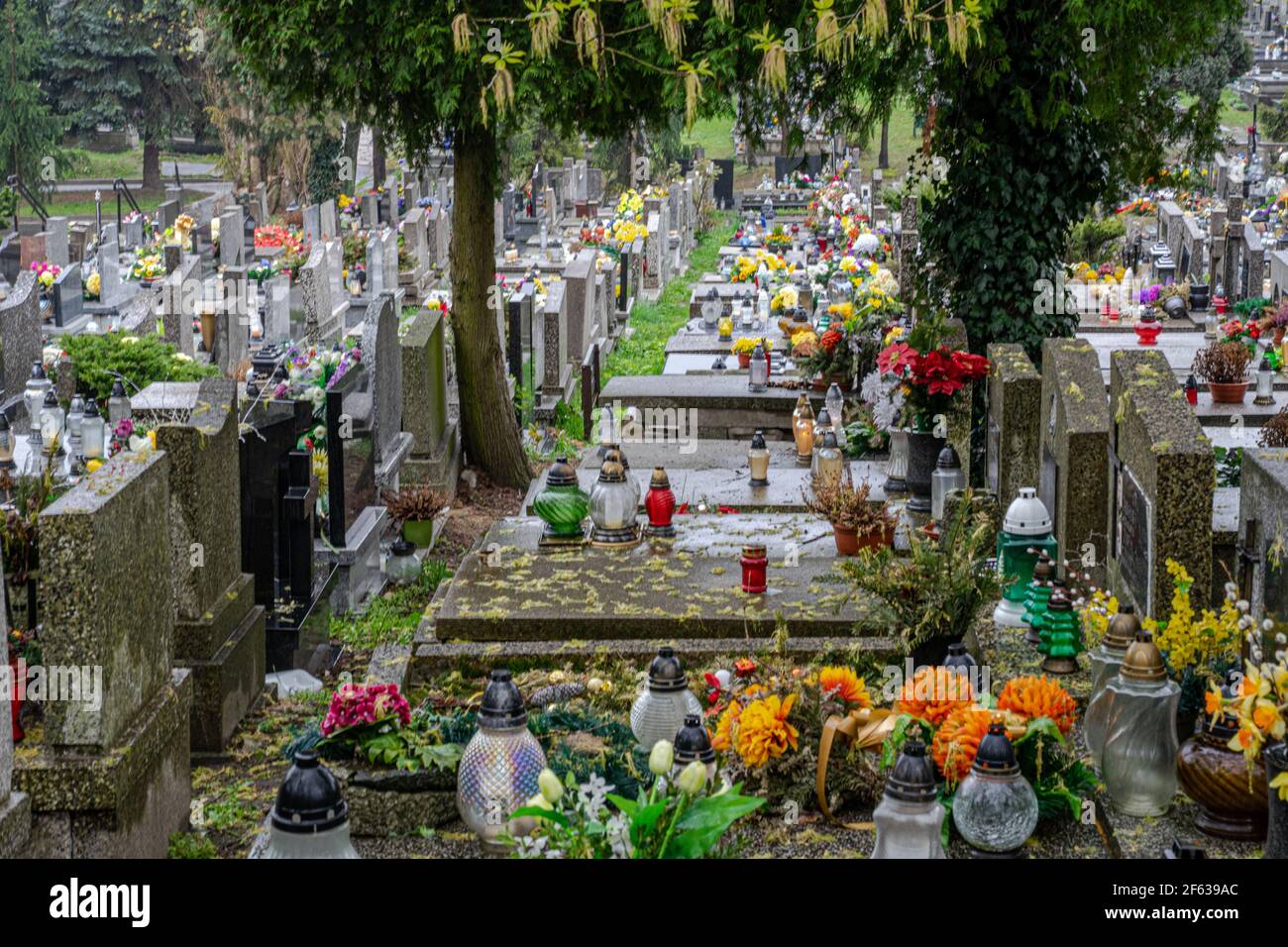 The rows of graves at Podgurski Nowy cemetery, near Liban Quarry ...