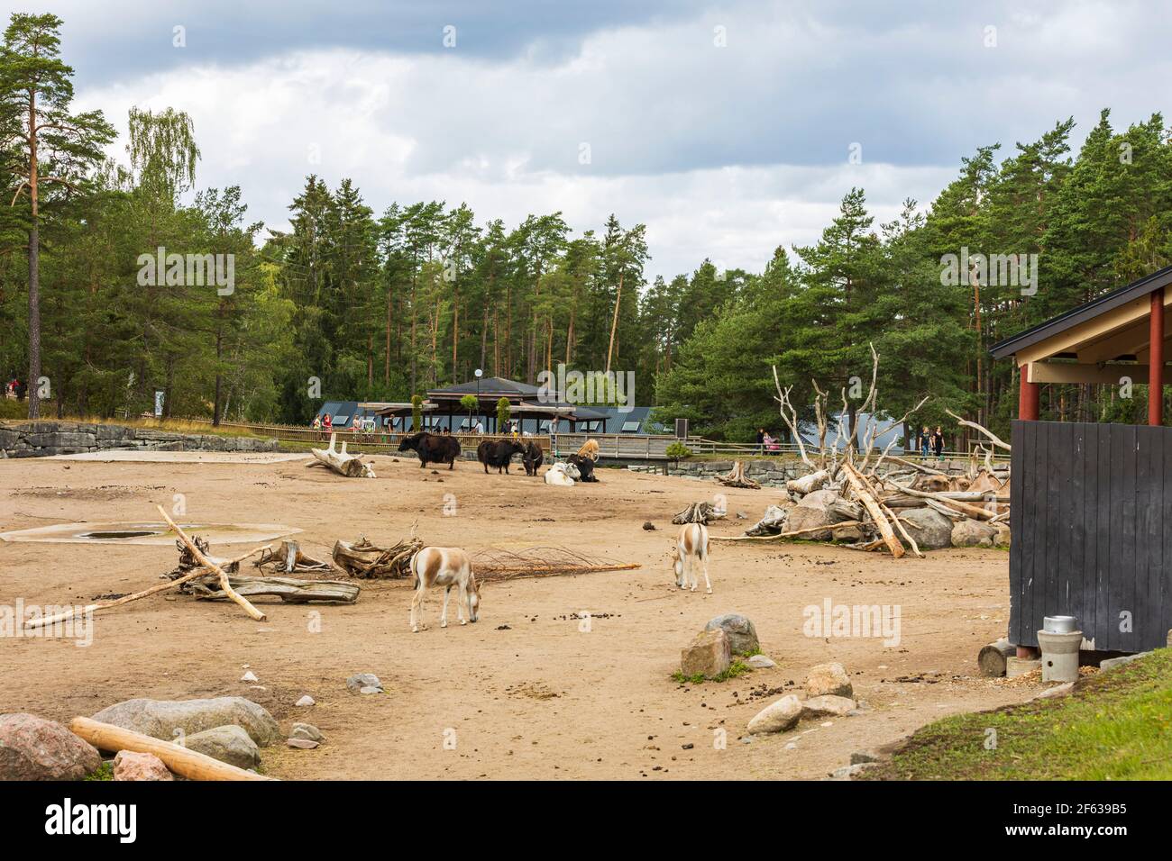 Beautiful landscape view on group of animals in zoo. Wild animals ...
