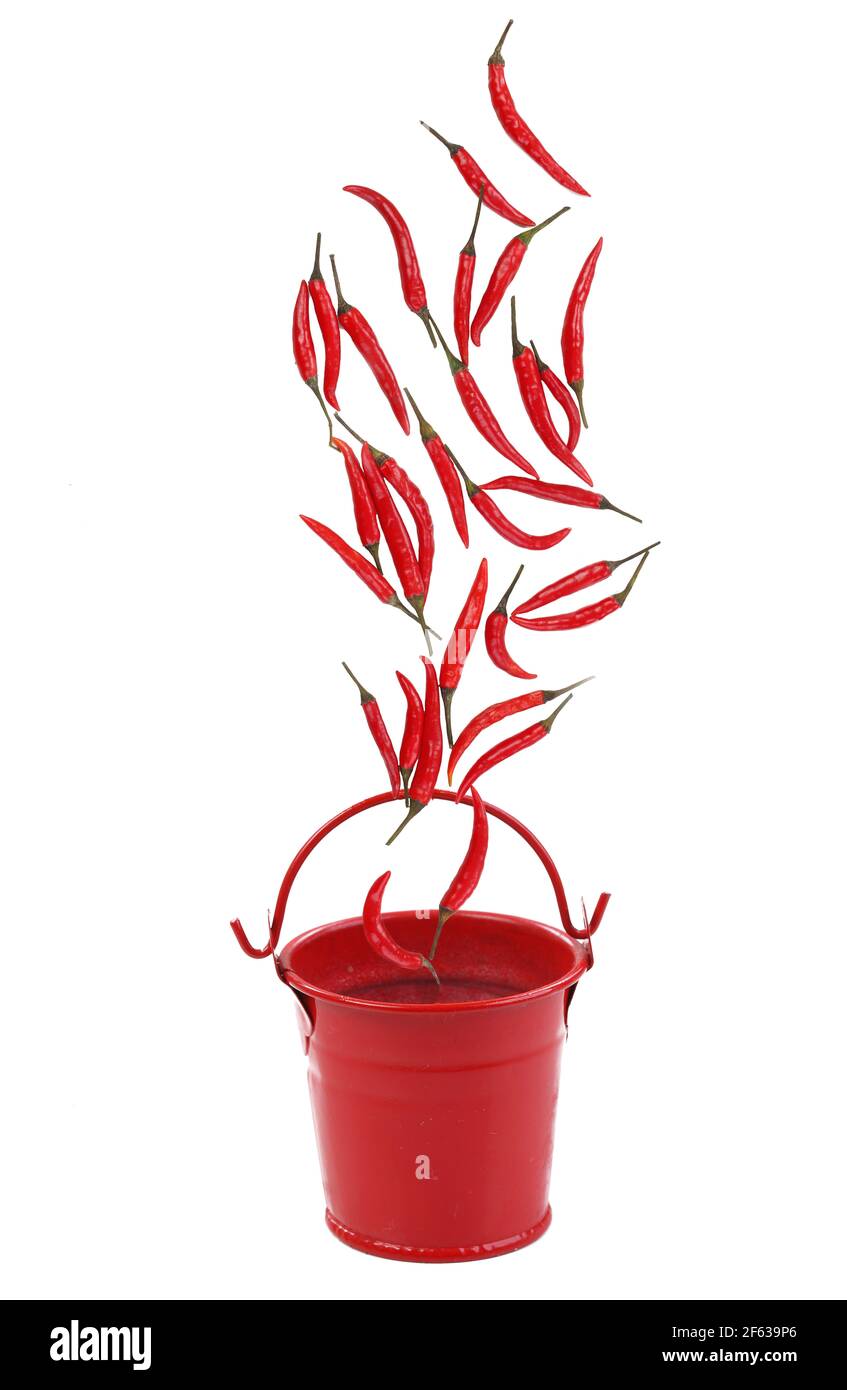 Red pepper flies into a bucket on a white background Stock Photo - Alamy
