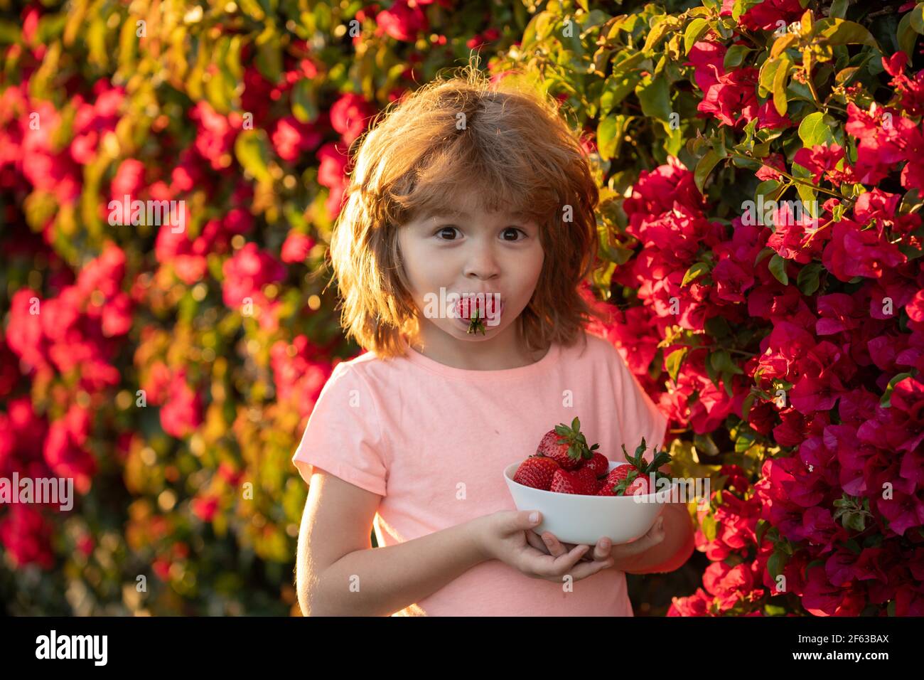 Cute little boy eating a strawberry. Happy little toddler boy picking ...