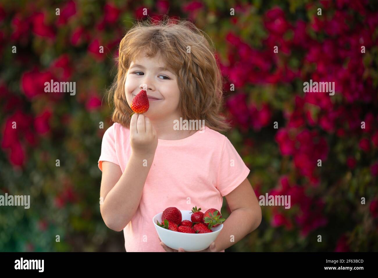 Happy child boy eat strawberry. Happy child eats strawberries Stock ...