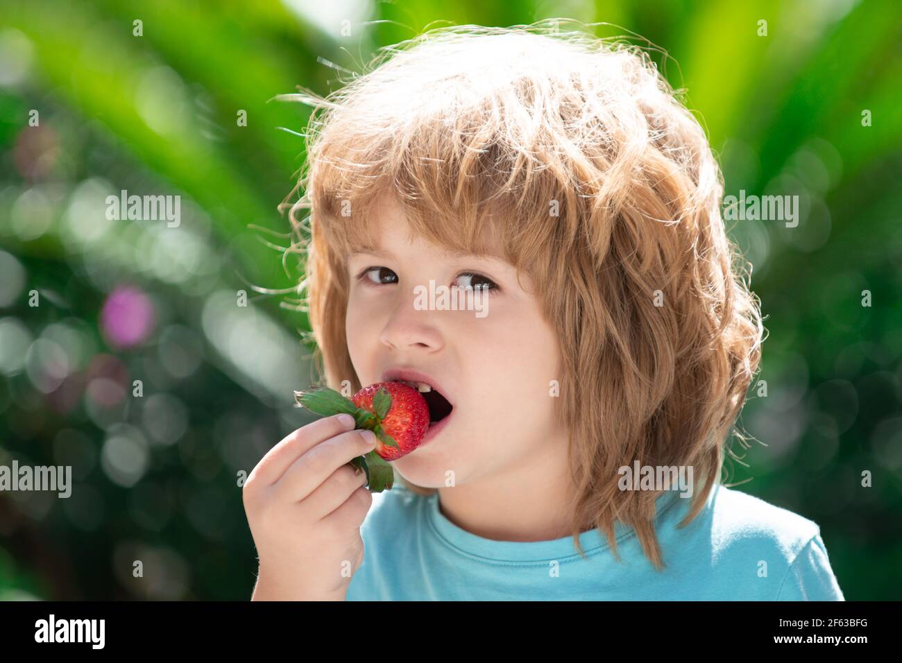 Healthy kids food. Adorable kid eating strawberry on green spring ...