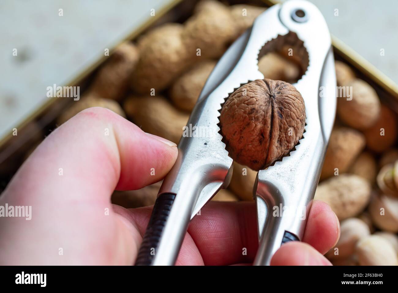 Cracking a walnut in the nutcracker. Natural light shining through the ...