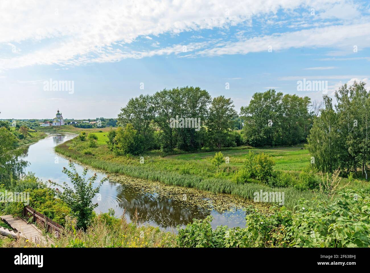 Virgin nature view in green field Stock Photo - Alamy