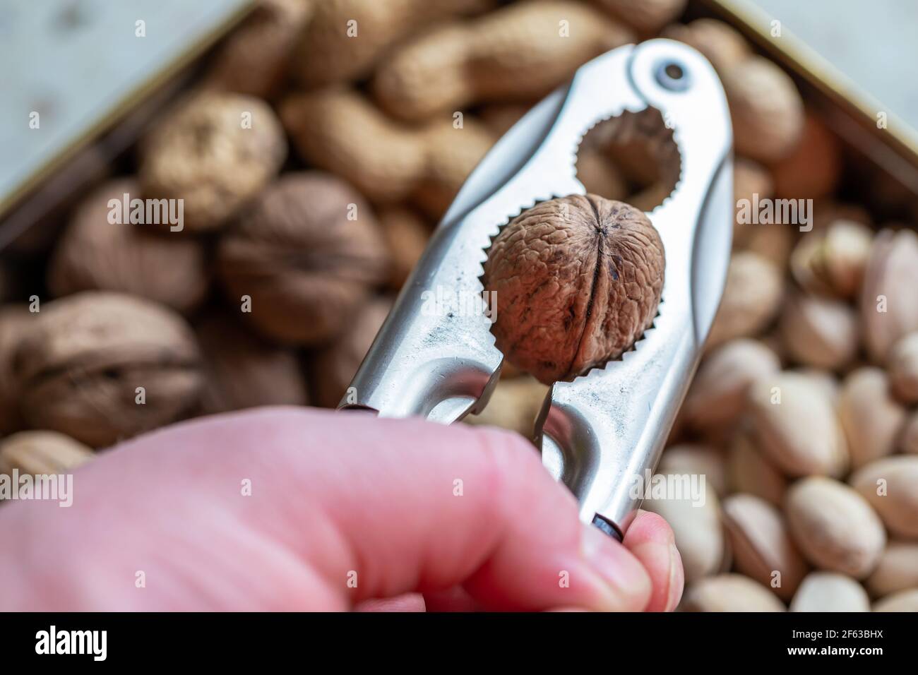 Cracking a walnut in the nutcracker. Natural light shining through the ...
