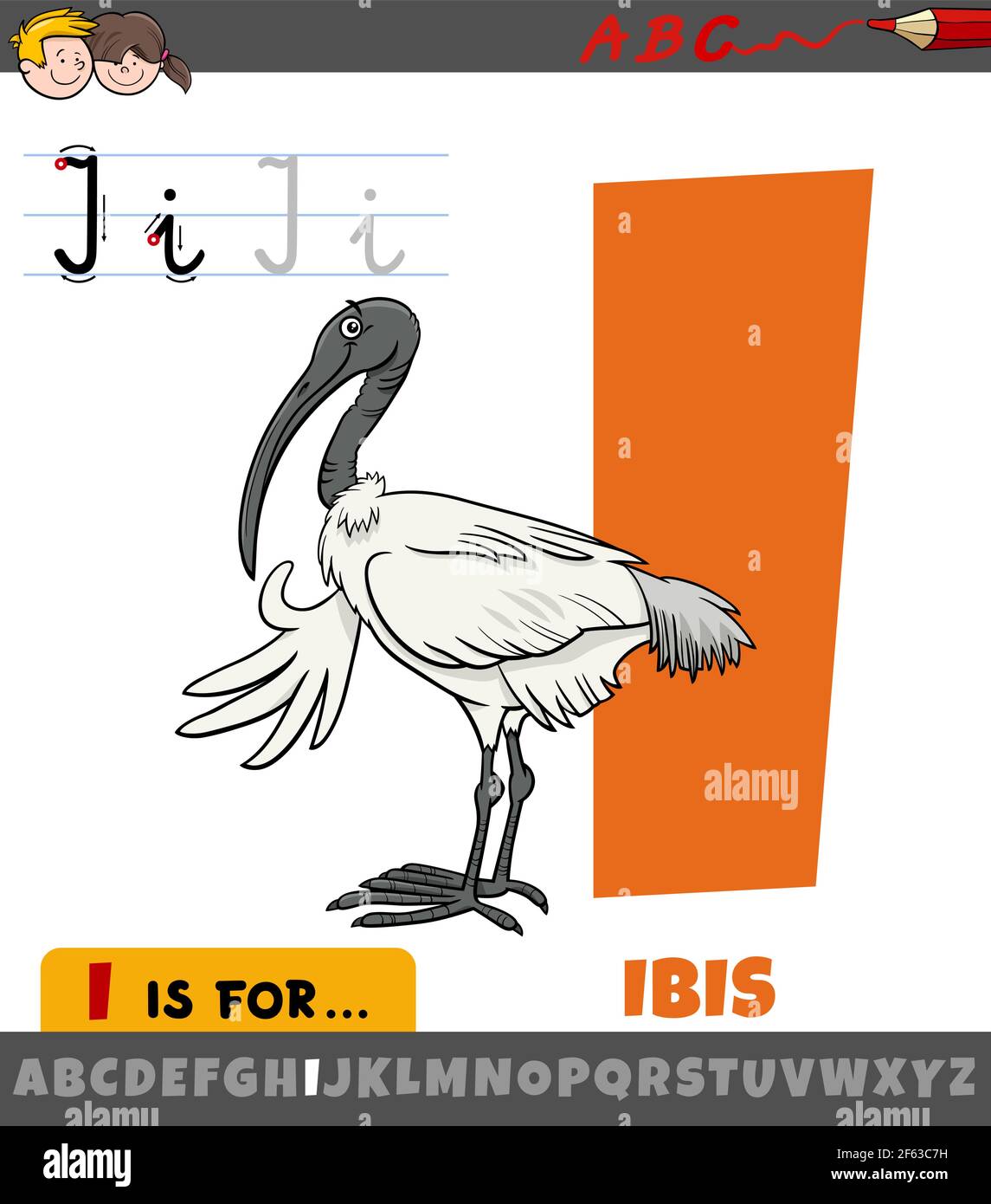 Educational cartoon illustration of letter I from alphabet with ibis ...
