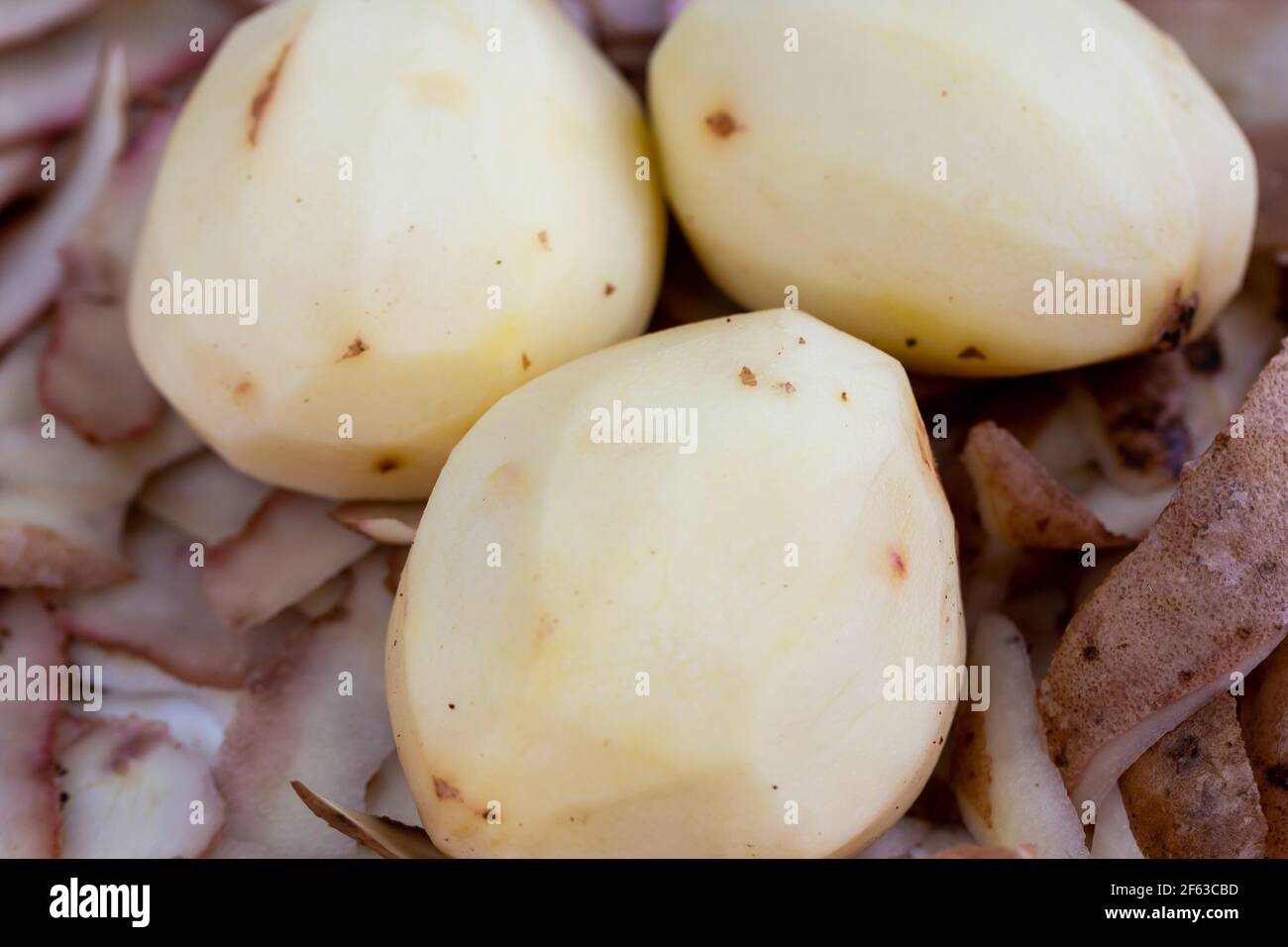 Several peeled potatoes on a background of potato skins. Made in ...