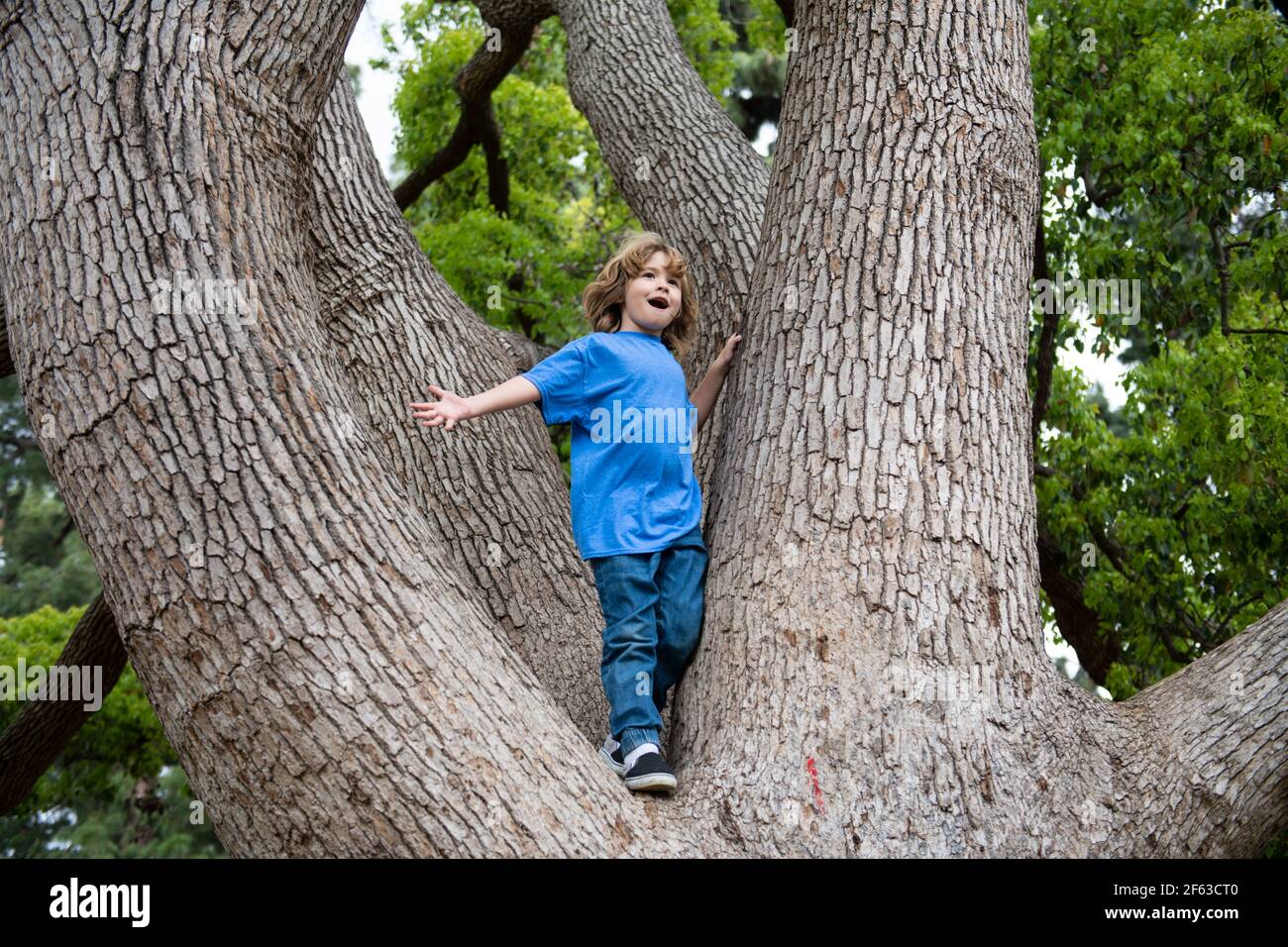 Children kid playing climbing to a tree in a park outdoor Stock Photo ...