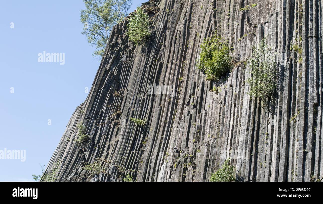 Detail of the vertical basalt columns, in Zlaty vrch, Czechia Stock ...