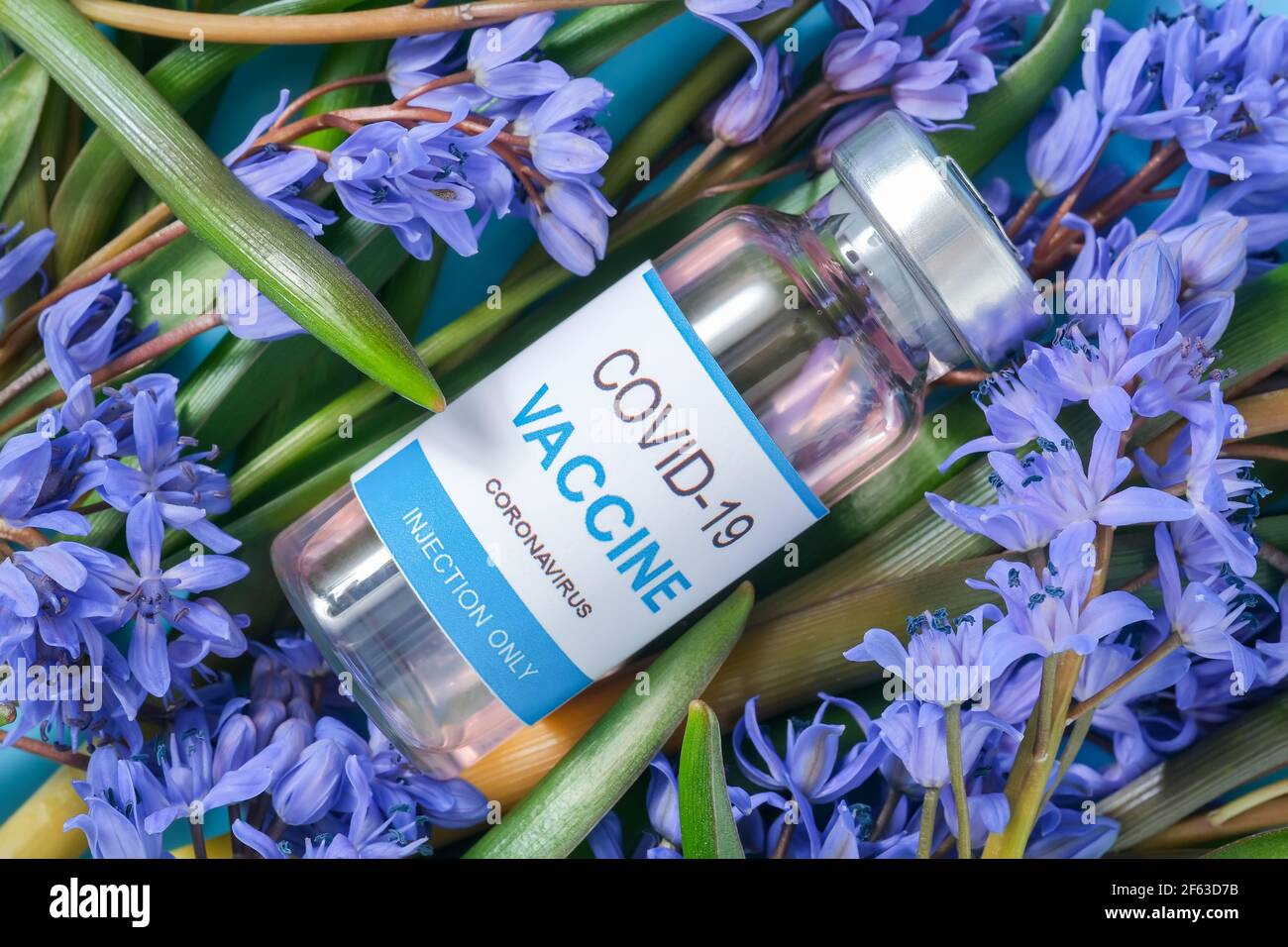 Vaccine vial lying on snowdrop flower background Stock Photo - Alamy