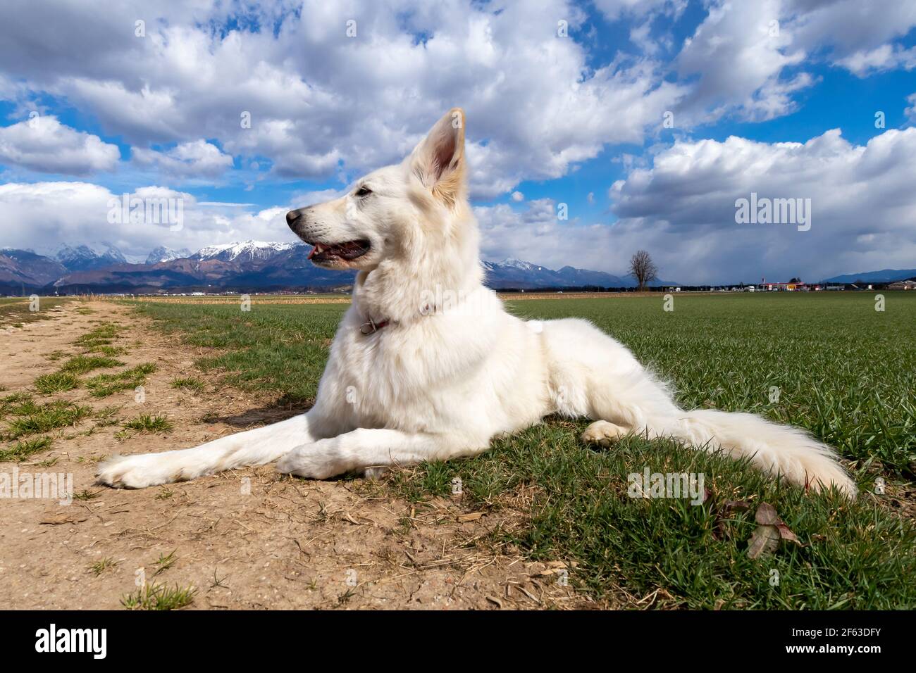 Berger field hi-res stock photography and images - Alamy