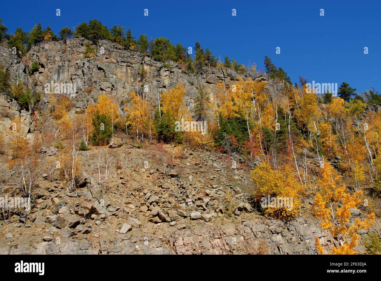 Golden trees and evergreens grow among the rocks near the rocky top of ...