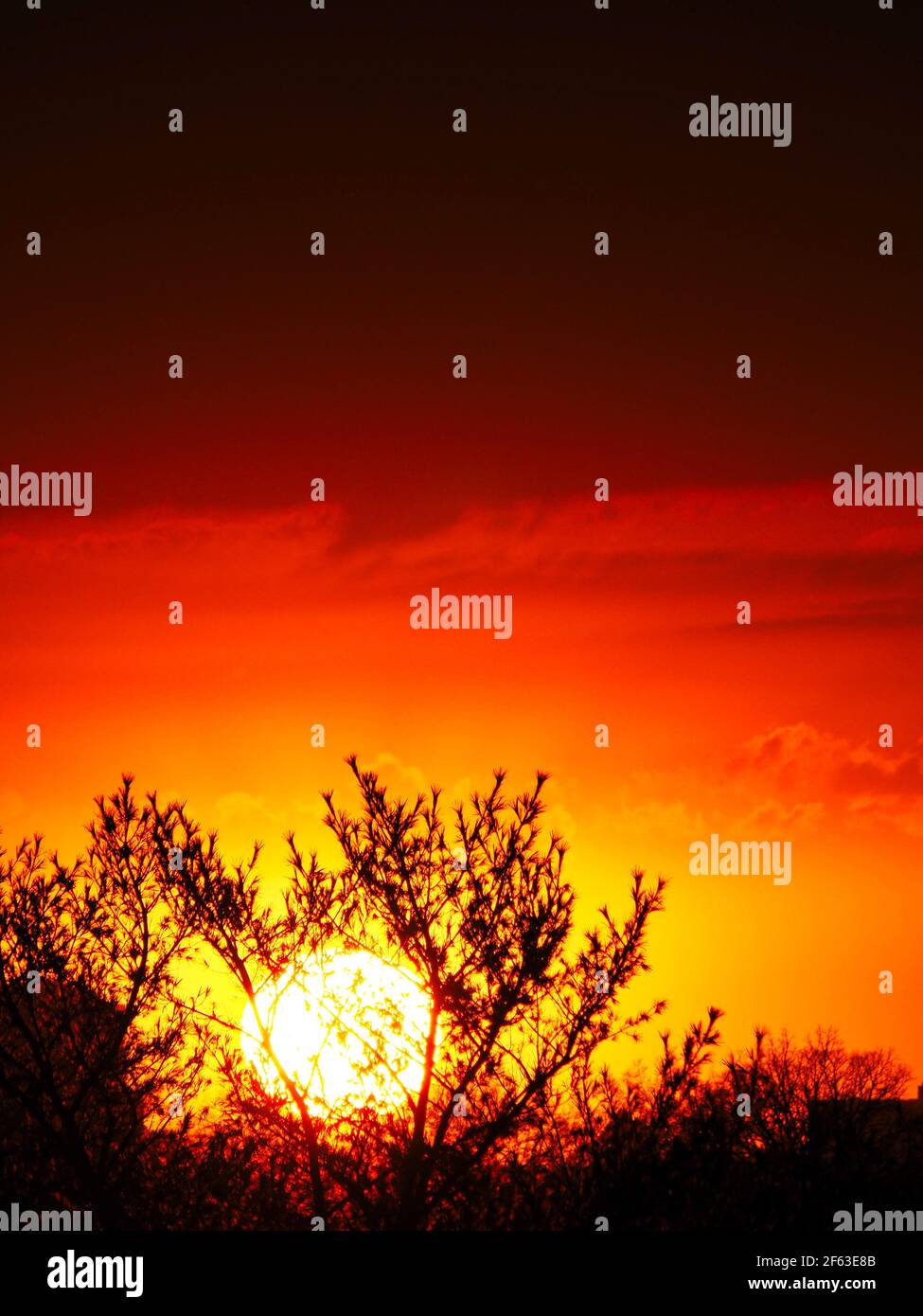 Breathtaking sunset illuminating sky hi-res stock photography and ...