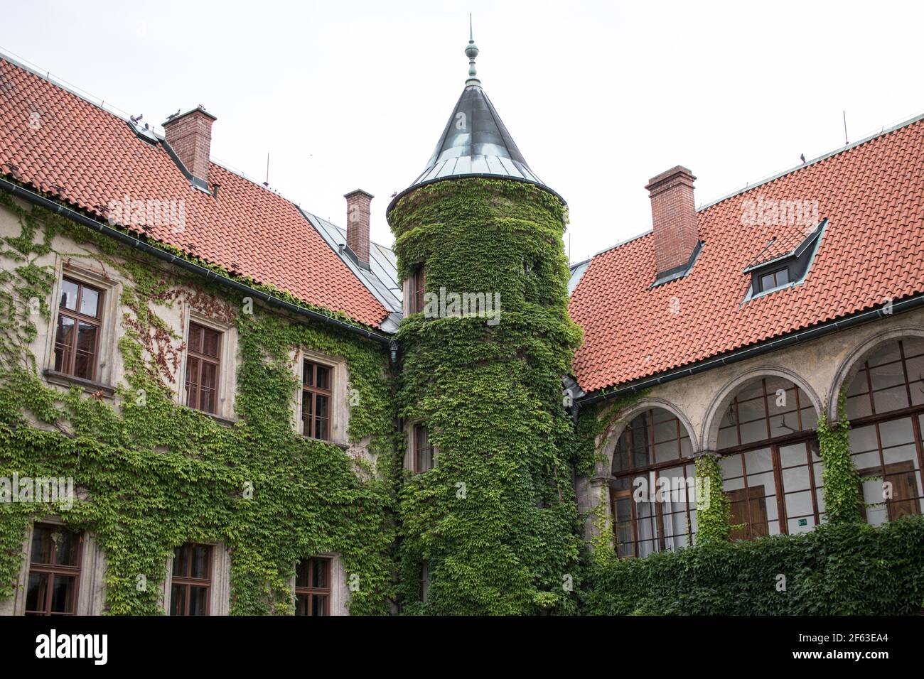 Ivy covered architecture hi-res stock photography and images - Alamy