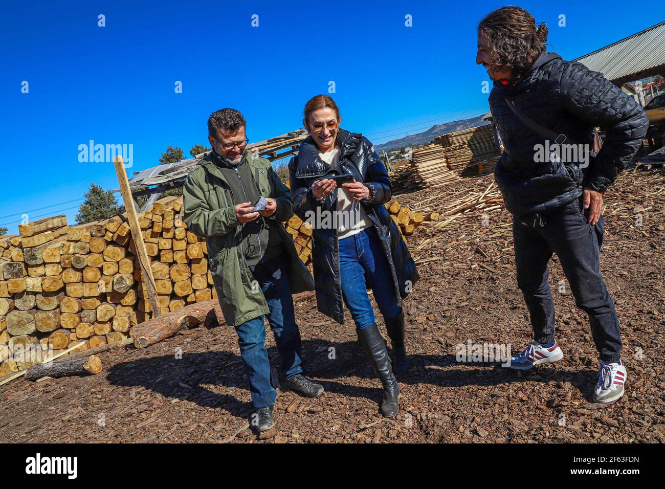 Yecora, Mpo. Yecora, Sonora, Mexico. Steel fence, pine wood, logs, wood ...