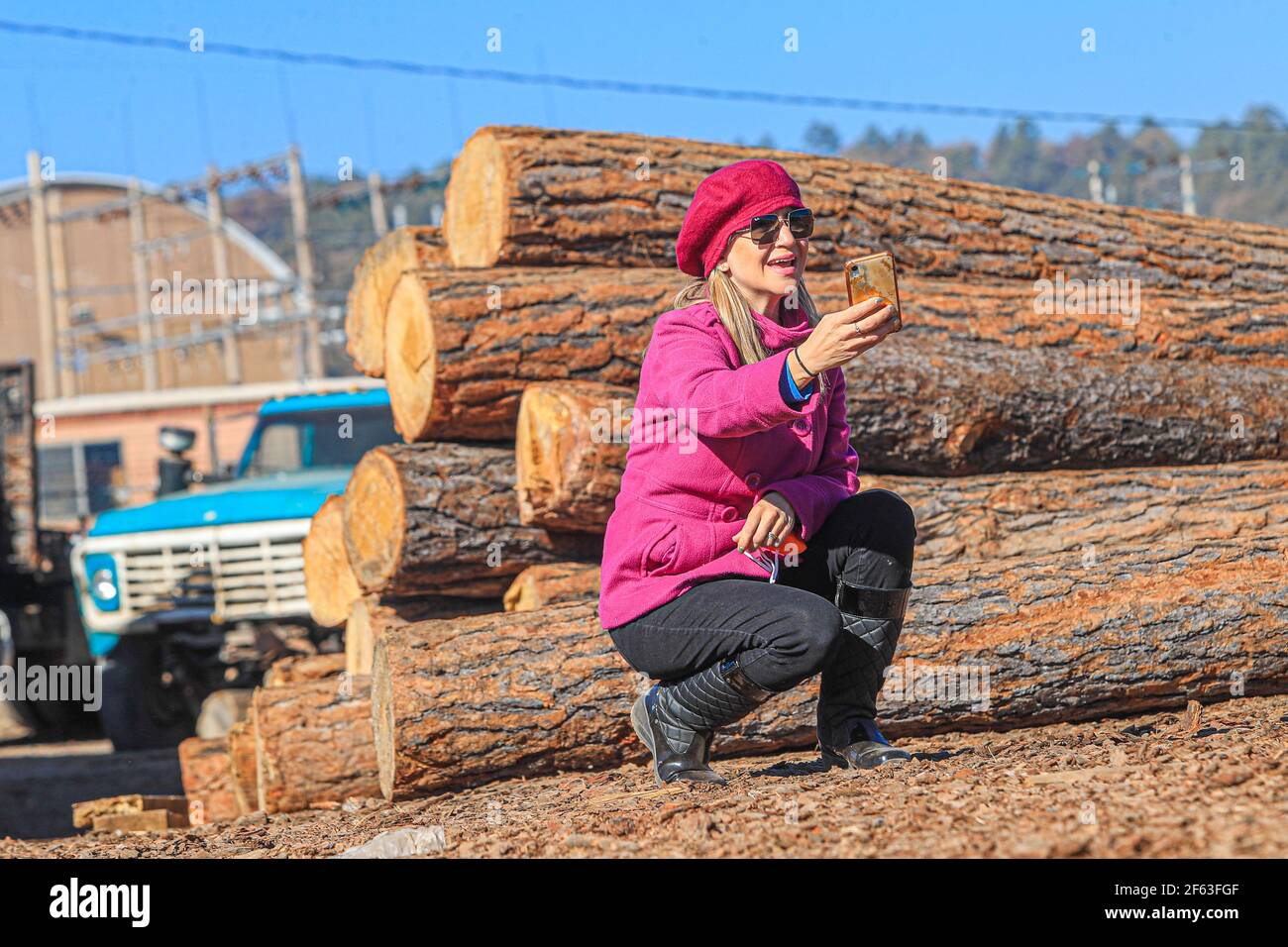 Yecora, Mpo. Yecora, Sonora, Mexico. Steel fence, pine wood, logs, wood ...