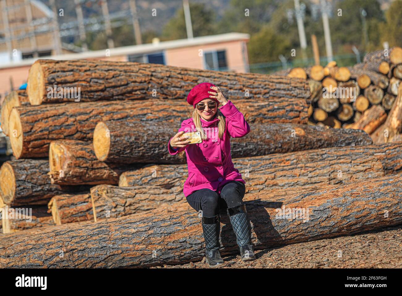 Yecora, Mpo. Yecora, Sonora, Mexico. Steel fence, pine wood, logs, wood ...