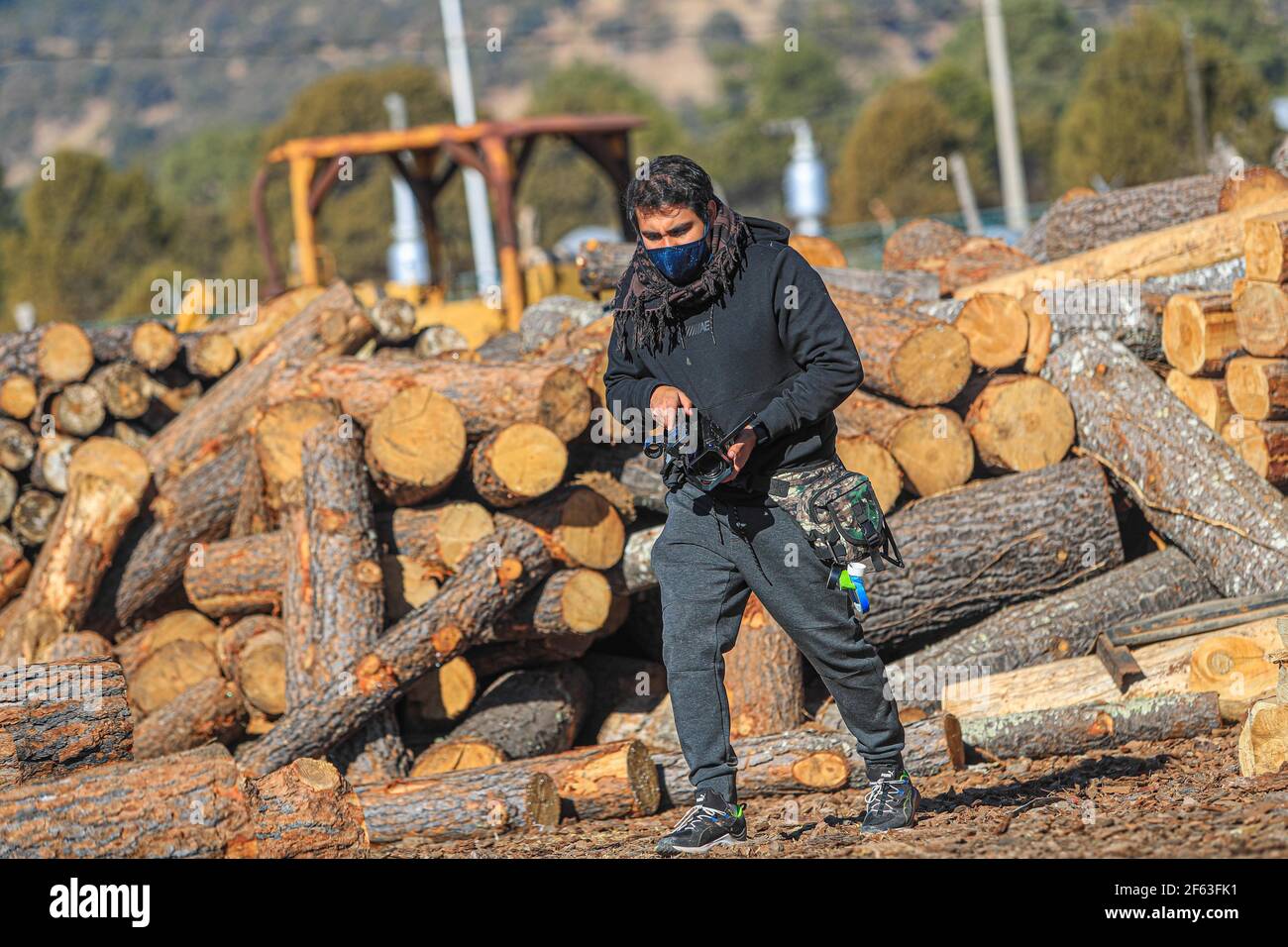 Yecora, Mpo. Yecora, Sonora, Mexico. Steel fence, pine wood, logs, wood ...