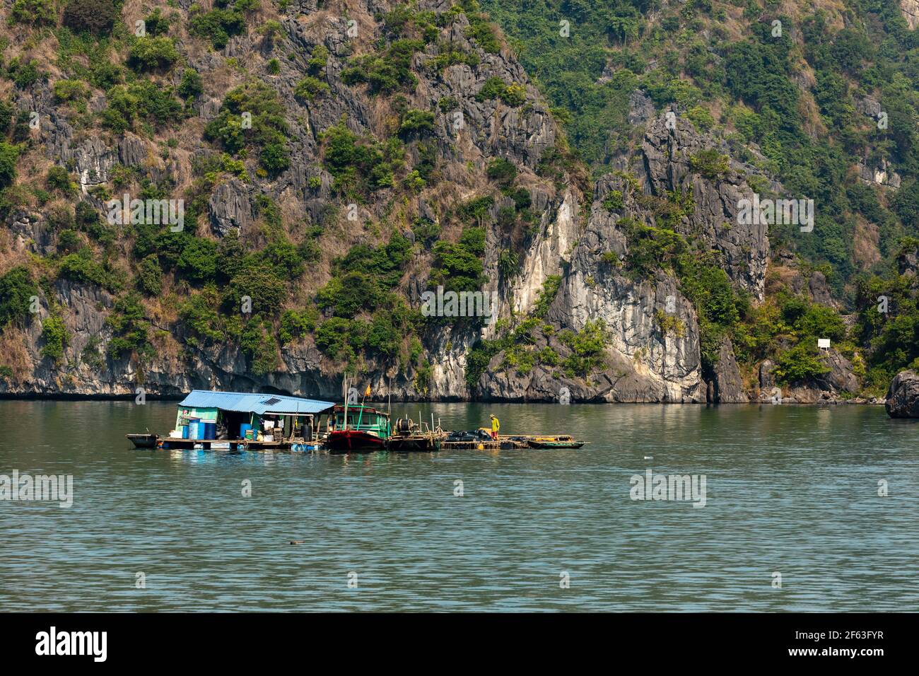 Floating Village and Fisher of the Halong Bay in Vietnam Stock Photo ...