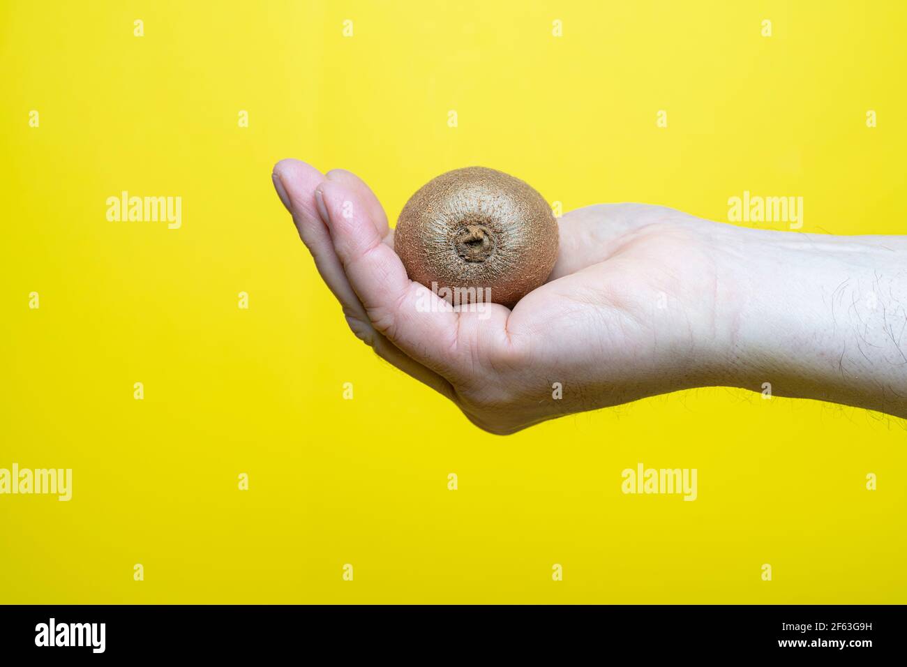 A kiwi in the hand Stock Photo - Alamy
