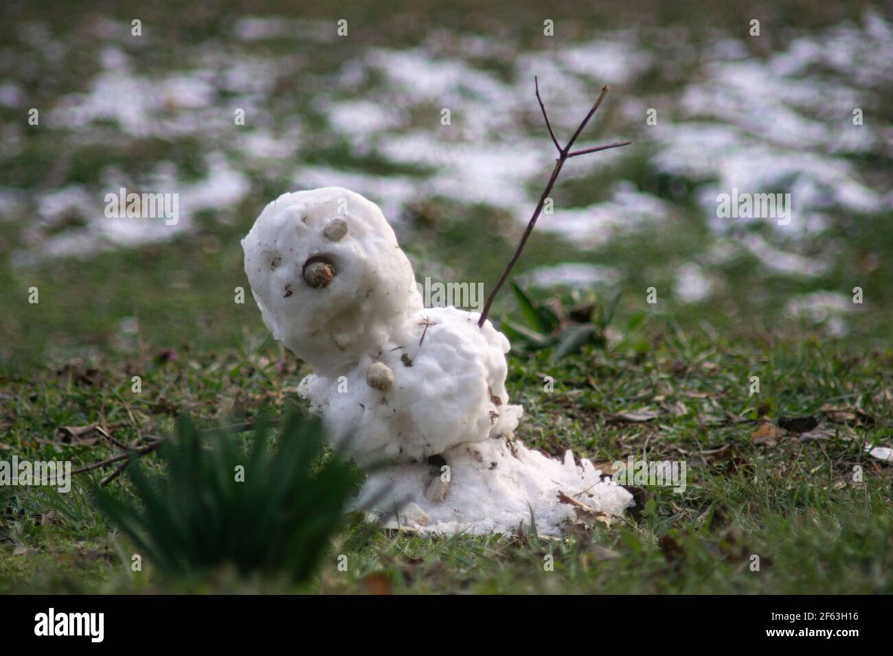 Snowman melting with green grass. Concept: spring Stock Photo - Alamy