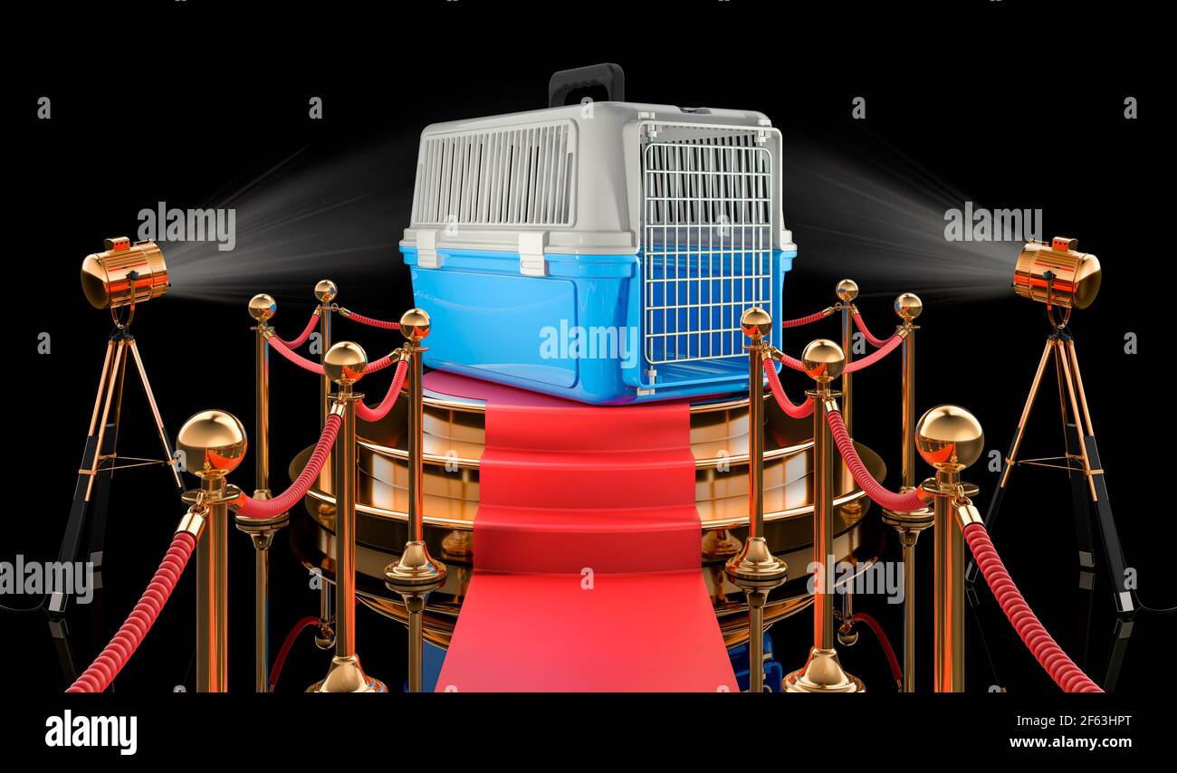 Podium with pet travel plastic cage, 3D rendering isolated on black ...