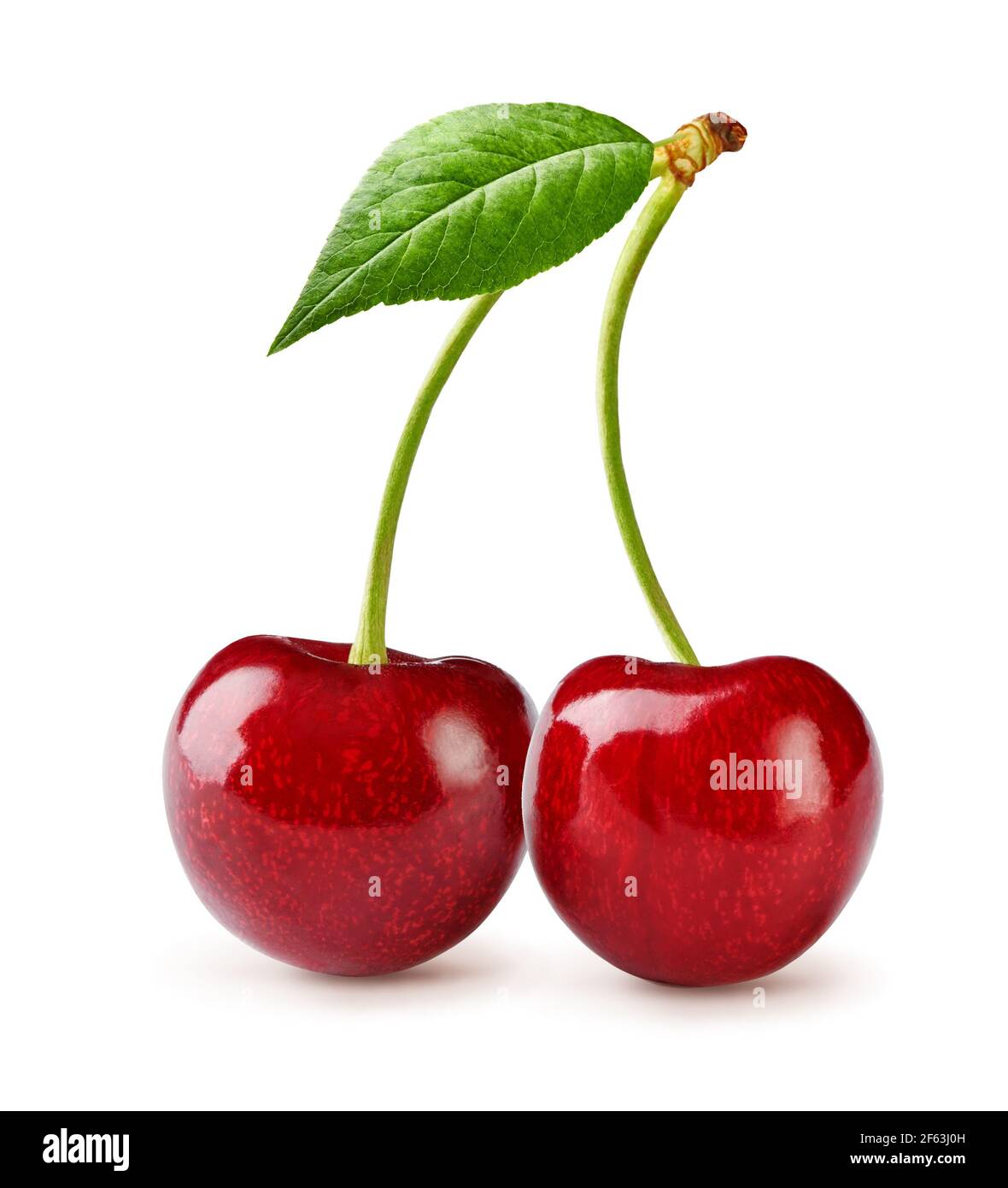 Two cherries with cherry leaf isolated on white Stock Photo - Alamy