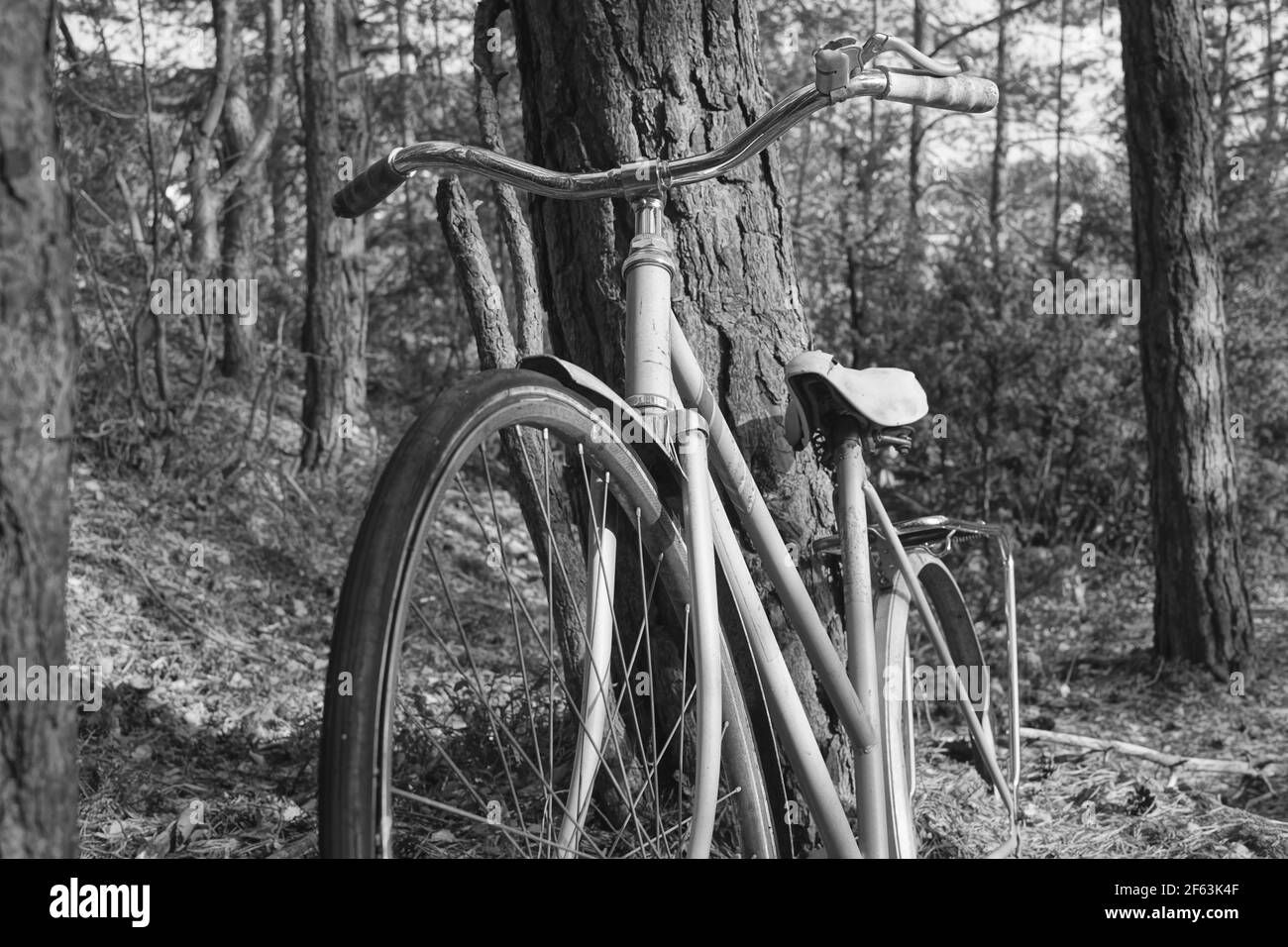 Abandoned bicycle city bike with missing rear wheel Stock Photo - Alamy