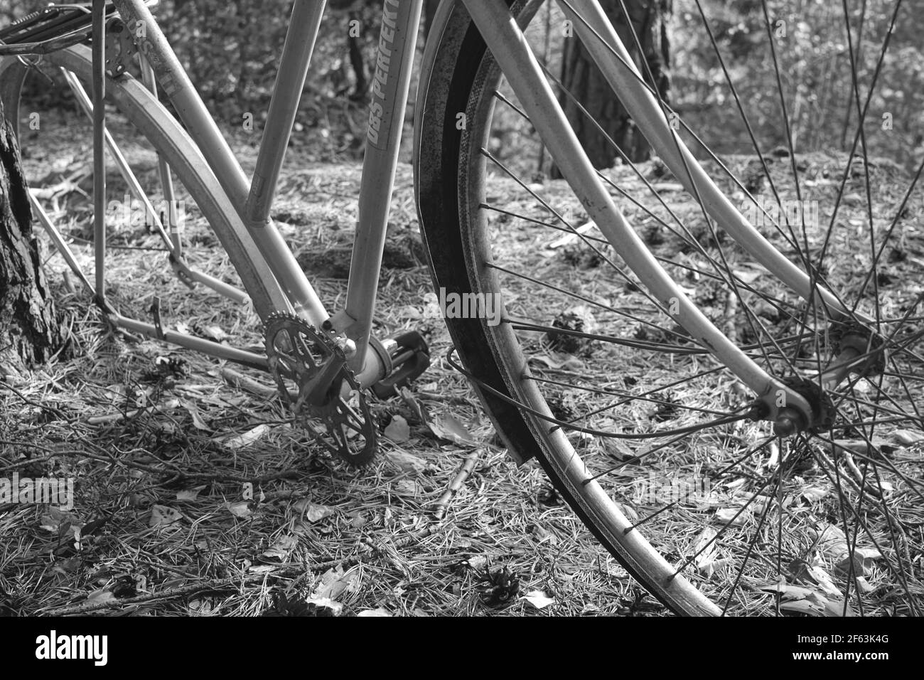 Abandoned bicycle city bike with missing rear wheel Stock Photo - Alamy
