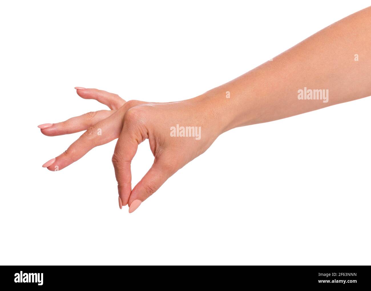 Female Hand Holding Up