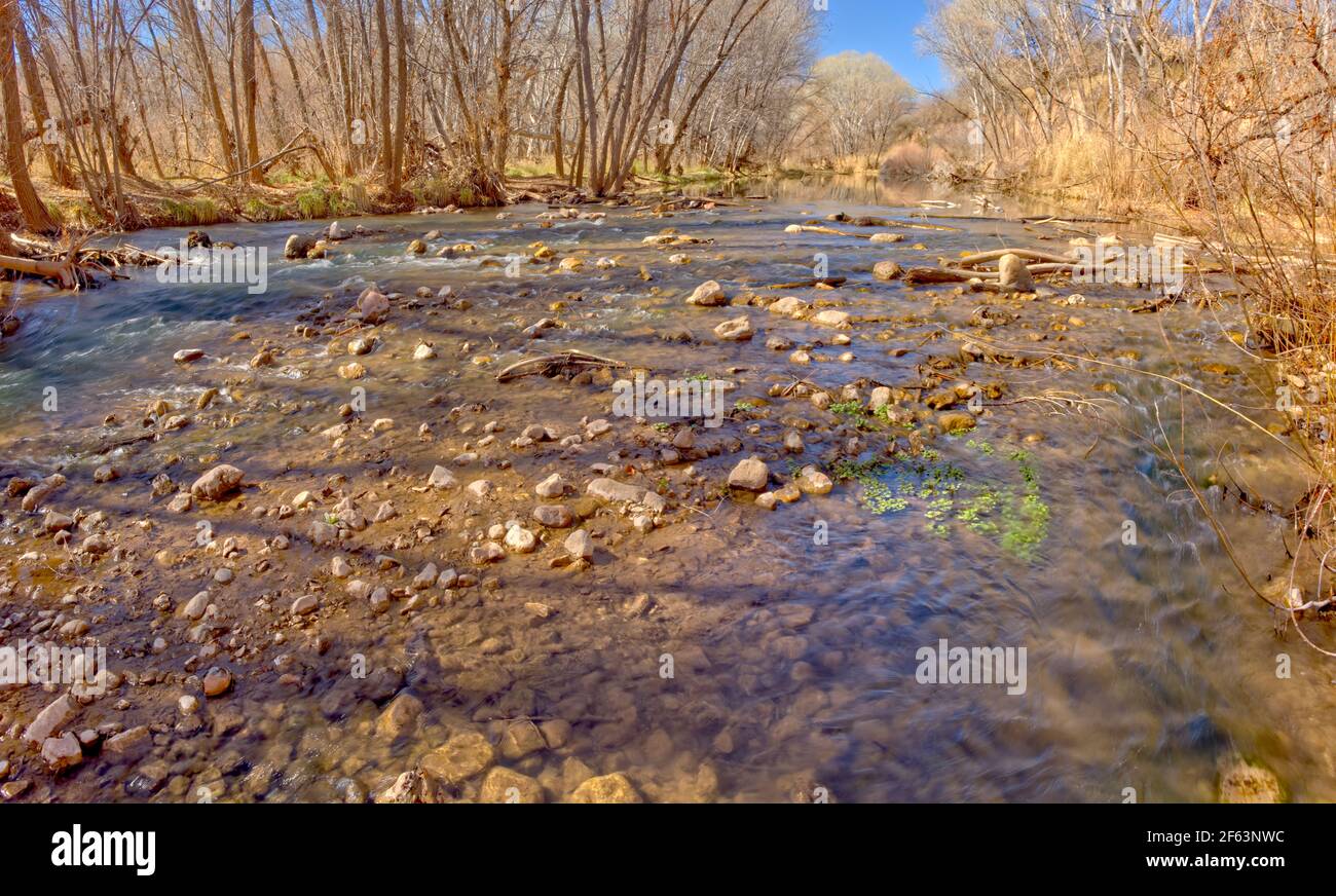 A shallow section of the Verde River along the Greenway Trail in Dead ...
