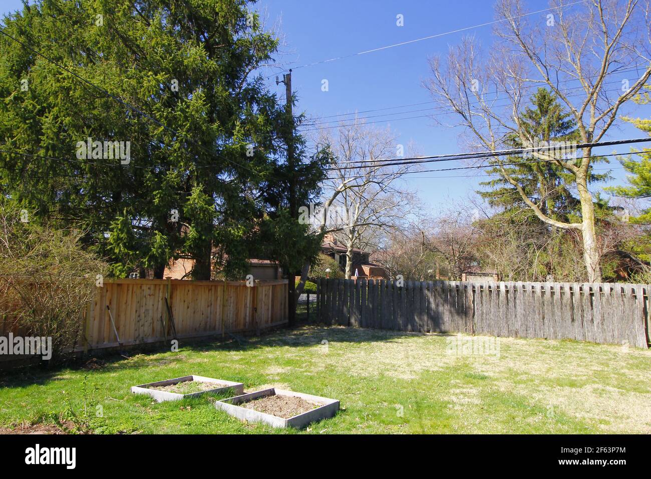 Suburban Backyard in Early Spring Stock Photo - Alamy